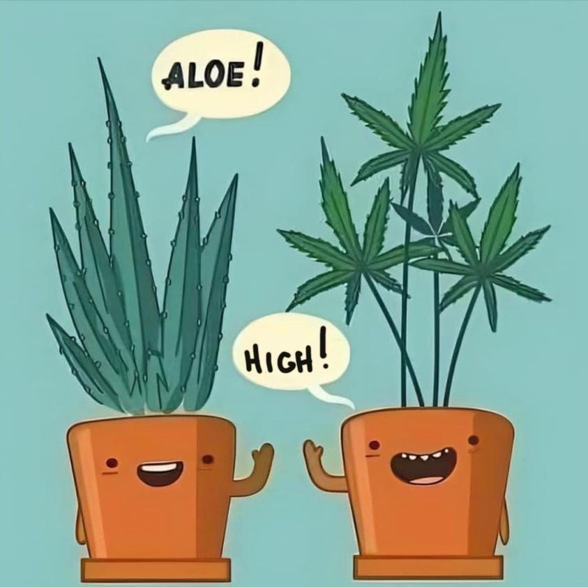 KINGZ BEGINNING – We Are Born 2 Rule